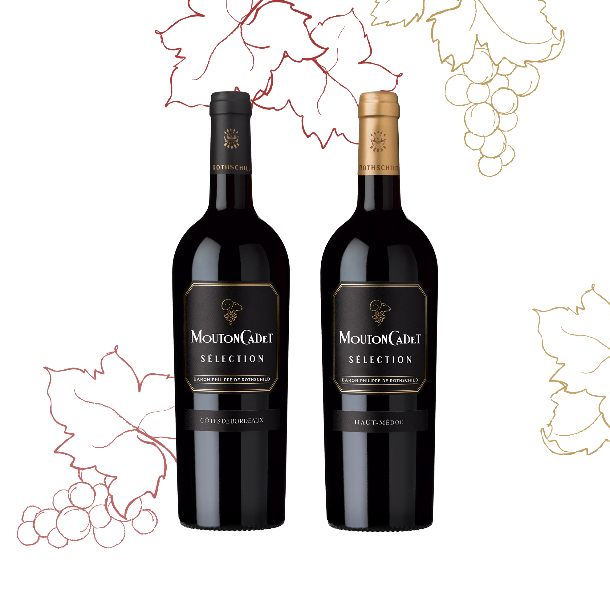 Icône – Mouton Cadet